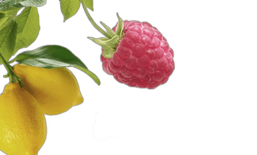 About Us – Baraka Foods